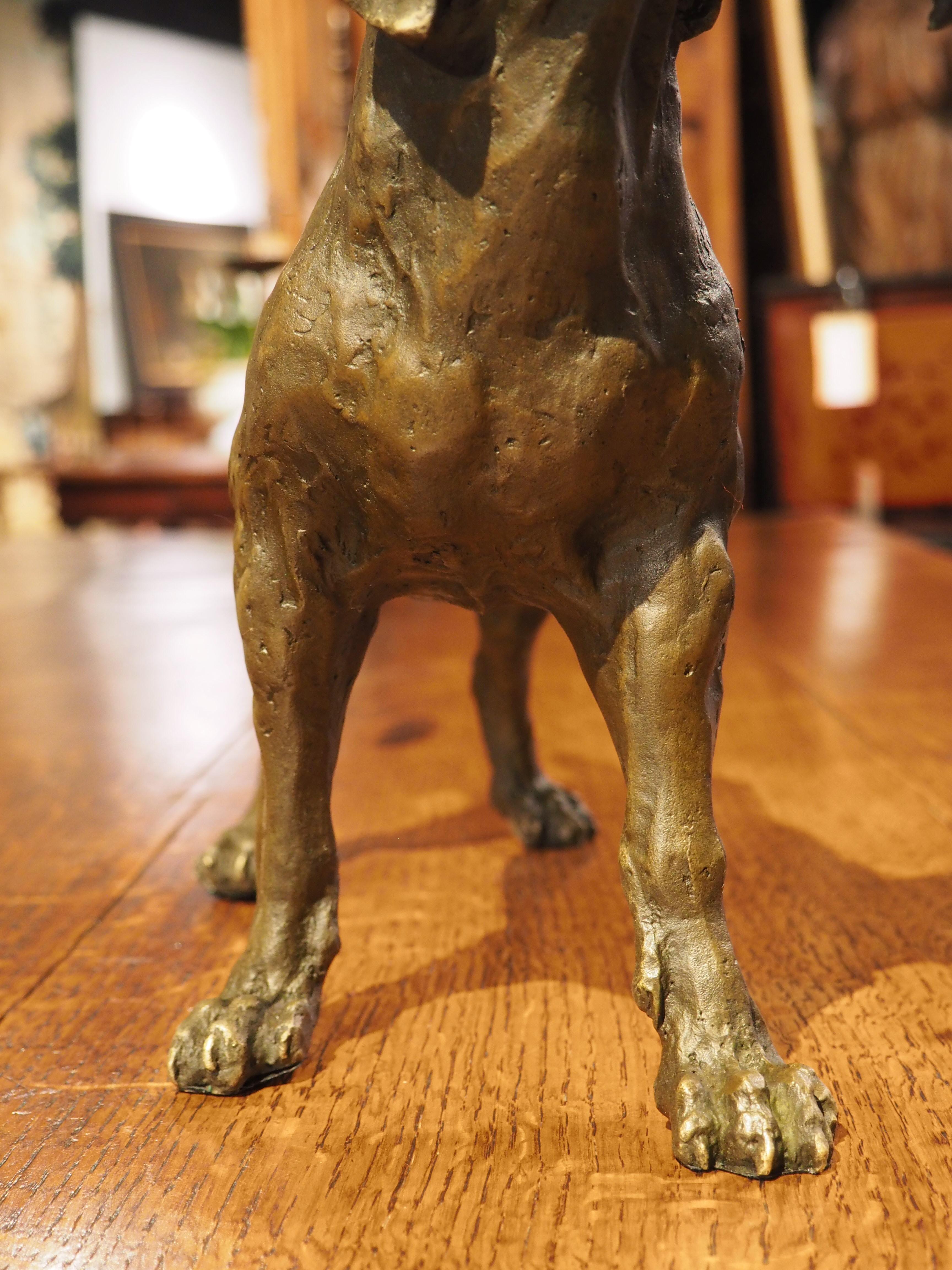 Patinated Cast Bronze Hunting Dog Sculpture, 20th Century at 1stDibs