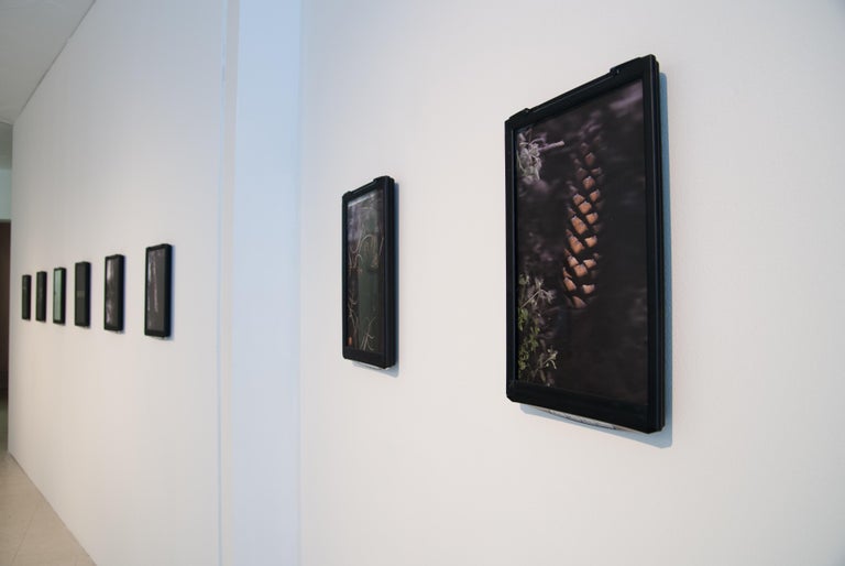 Patrick Beaulieu - Révélations 2 For Sale at 1stDibs