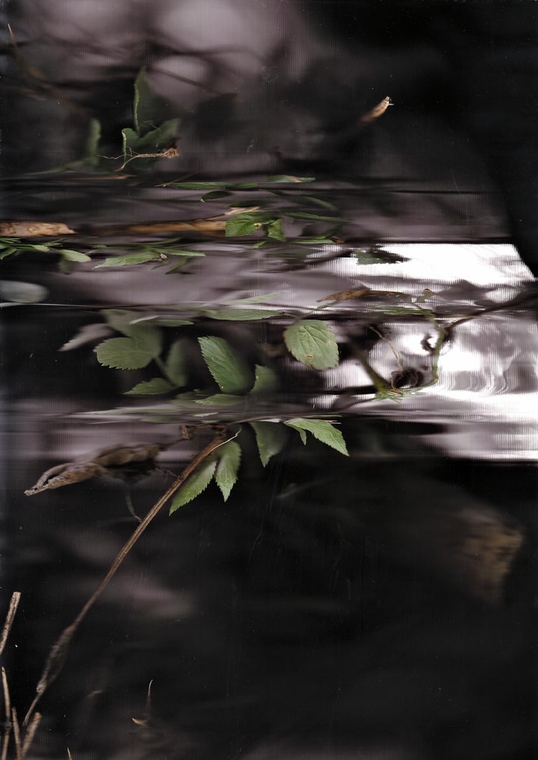 Patrick Beaulieu - Révélations 2 For Sale at 1stDibs