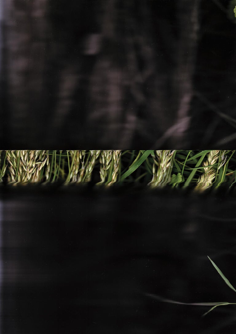 Patrick Beaulieu - Révélations 4 For Sale at 1stDibs