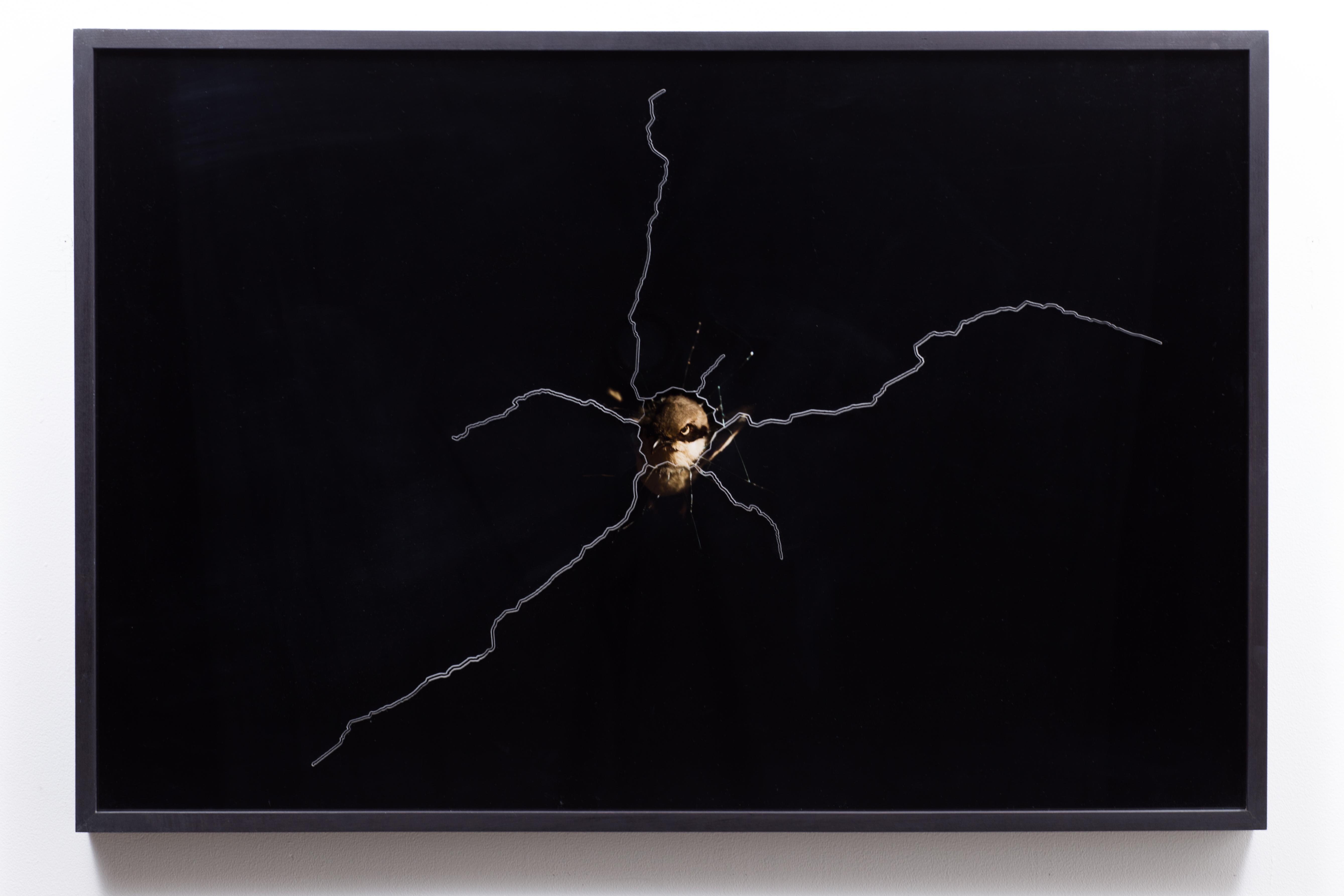 Nicholas & Sheila Pye Figurative Photography - 3 For Sale at 1stDibs