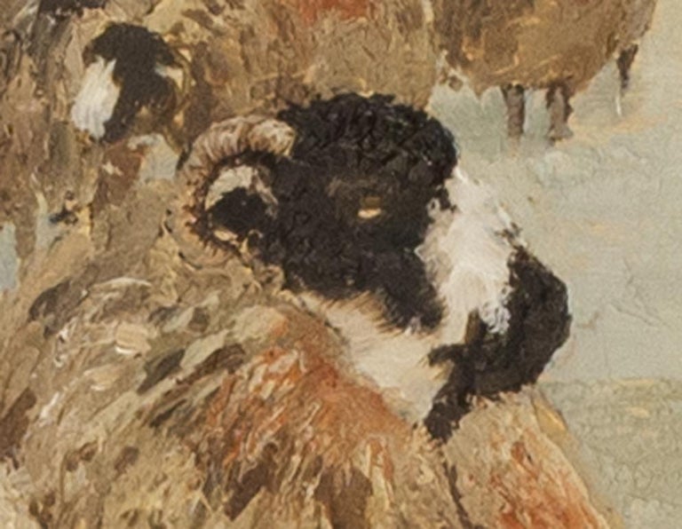 Patrick Cleary - British contemporary oil painting of sheep in the ...
