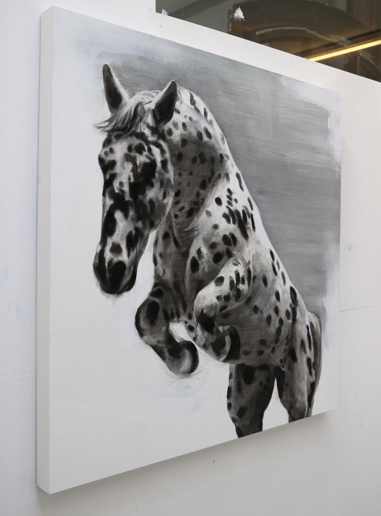 Patsy McArthur - The Mesmerist, Spotted Horse Drawing, Charcoal, gesso ...