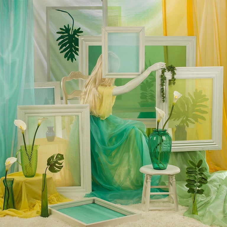 Patty Carroll - Framing Her Life (and Plants) For Sale at 1stDibs