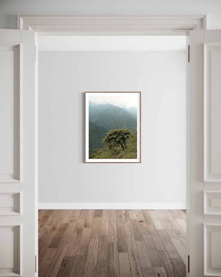 Pau Escat - PHOTOGRAPH Nepali Landscape Jungle by Contemporary Artist ...