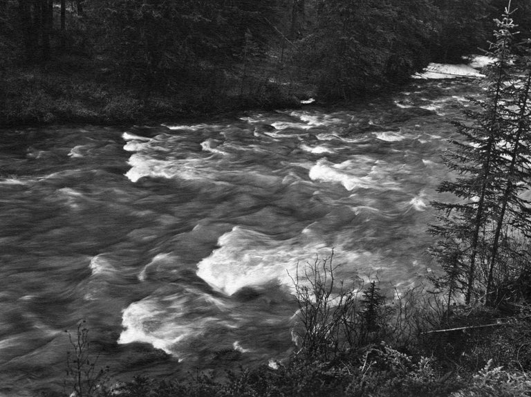 Paul Caponigro - Alberta, Canada, 1978 For Sale at 1stDibs