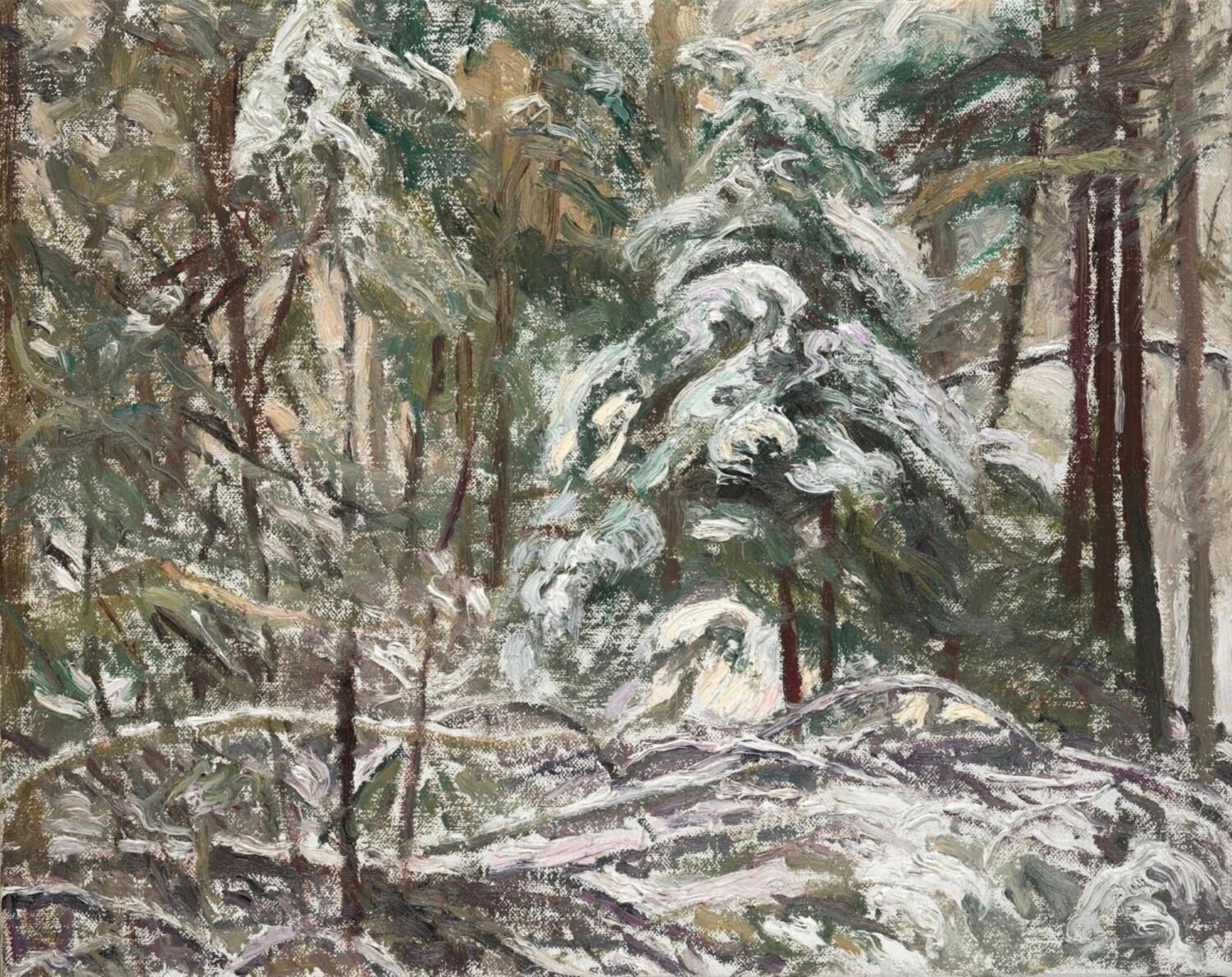 Paul Chizik - Birches tombantes sur une terre tombante En vente sur 1stDibs