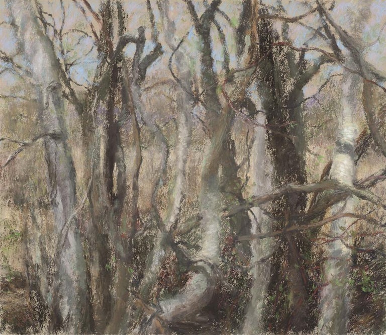 Paul Chizik - Twisted Birches on A Broken Land For Sale at 1stDibs