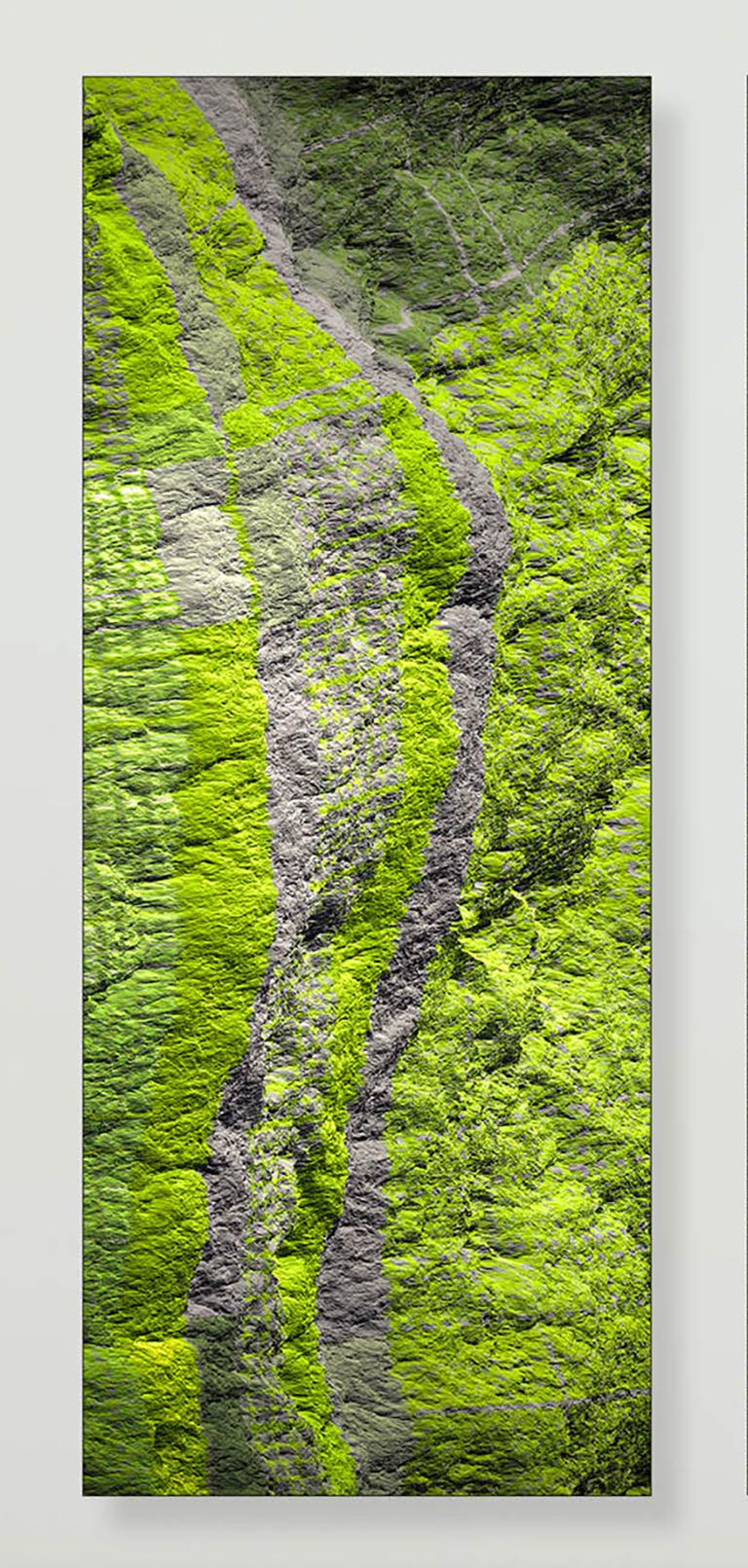 Paul-Émile Rioux - Diptych - Digital Clift - Green Forest Aerial View ...