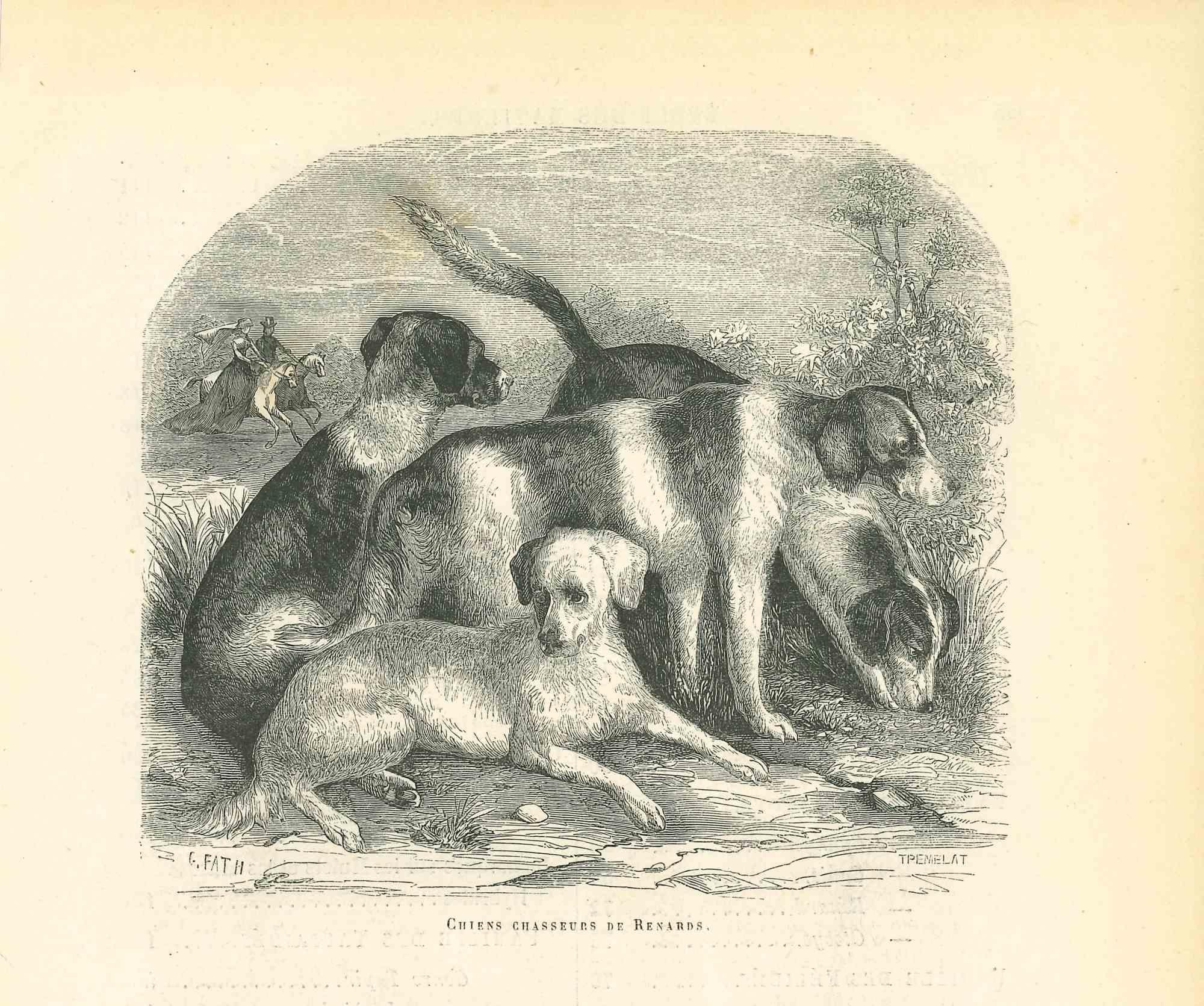 Paul Gervais - The Mouse - Original Lithograph by Paul Gervais - 1854 ...