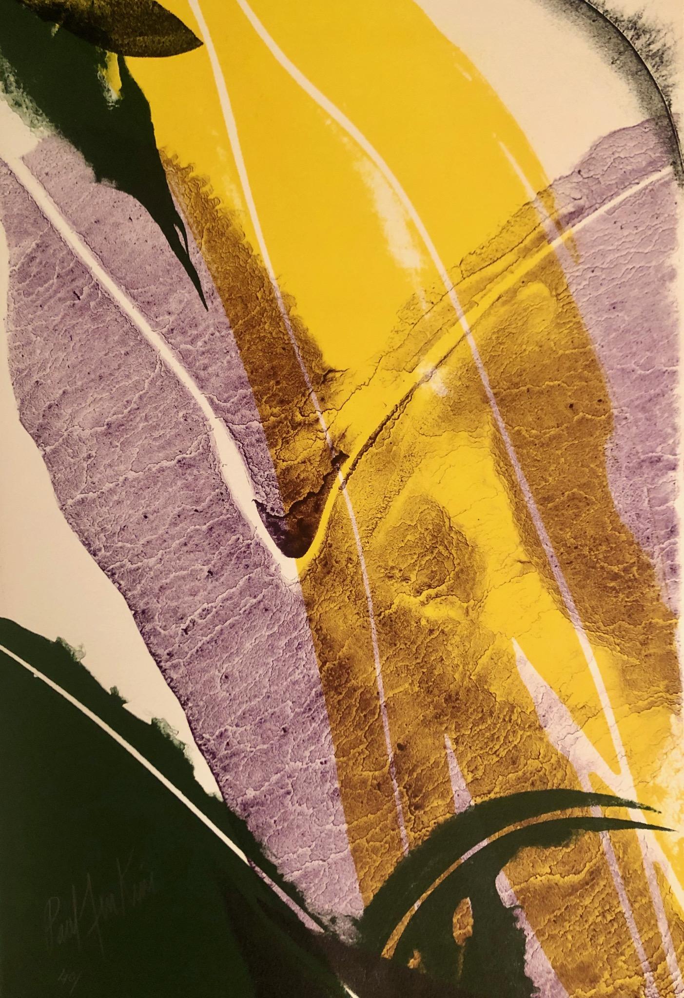 Paul Jenkins - "Phenomena for Druid," Paul Jenkins, Abstract ...