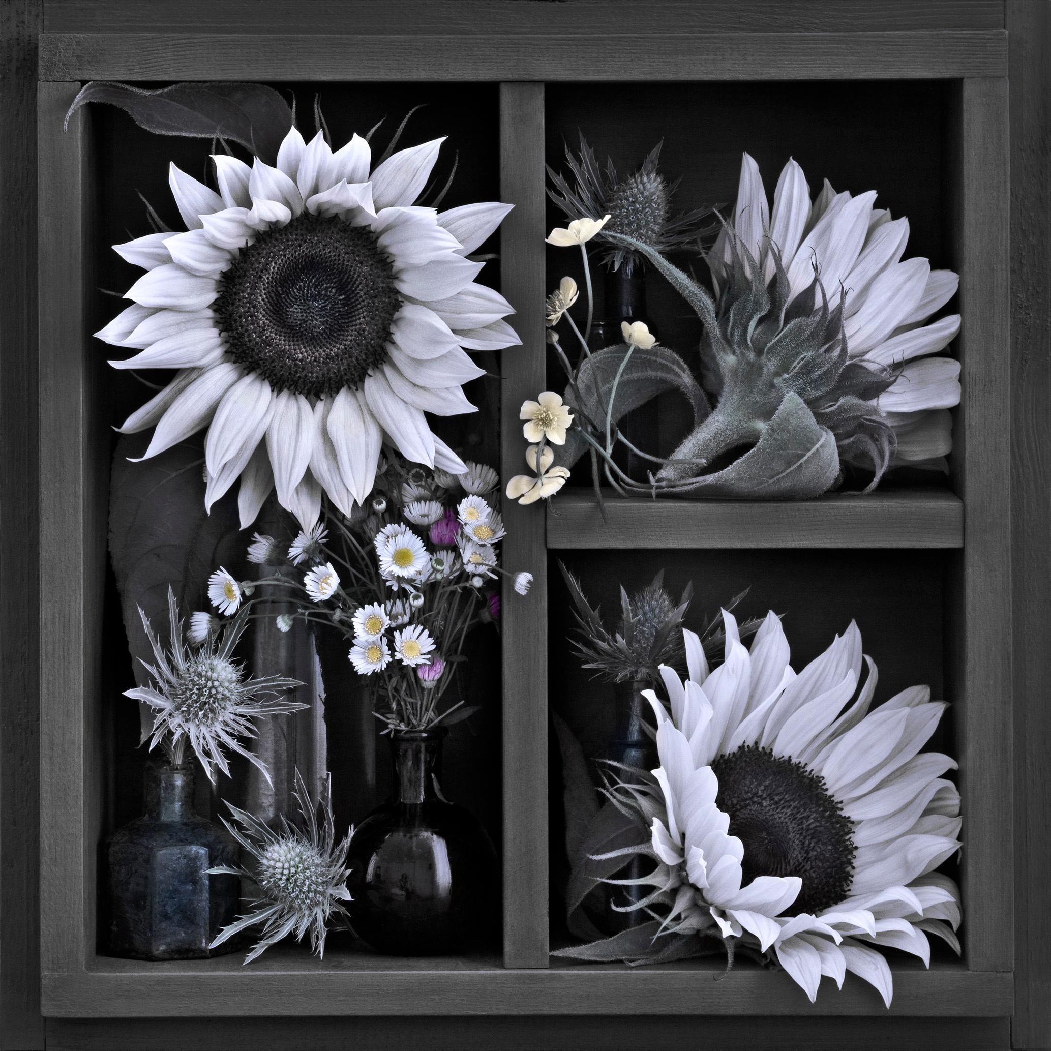 Ysabel LeMay - Round shape, romantic, dreamlike pink flowers and bird ...