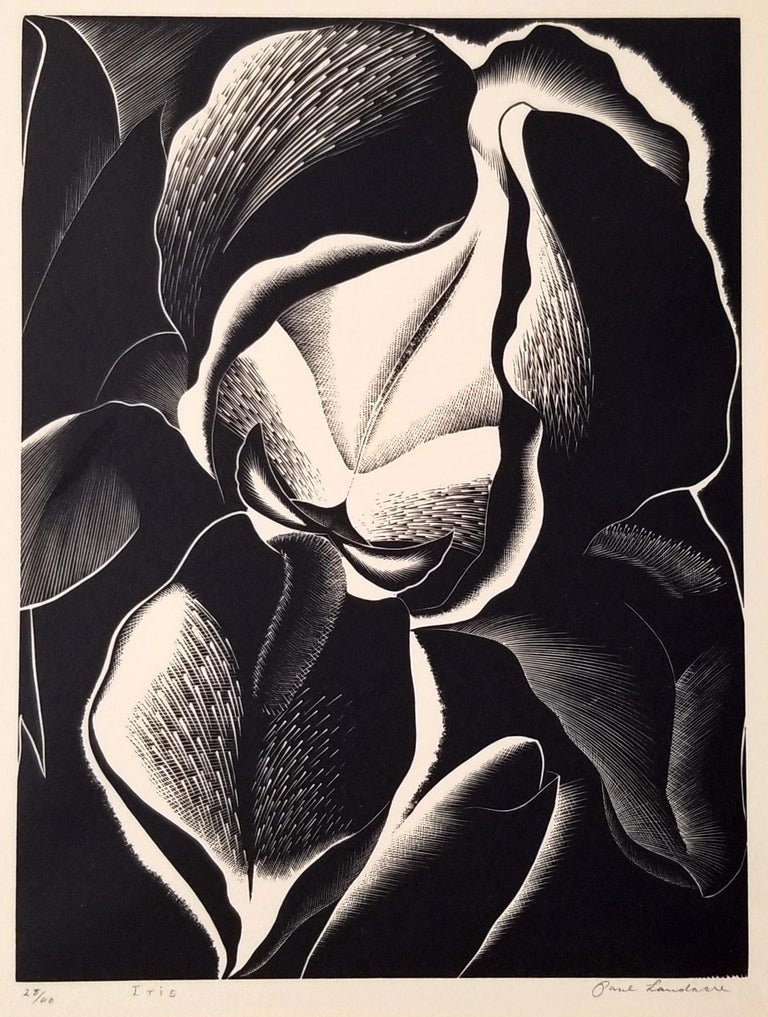 Paul Landacre - Iris For Sale at 1stDibs
