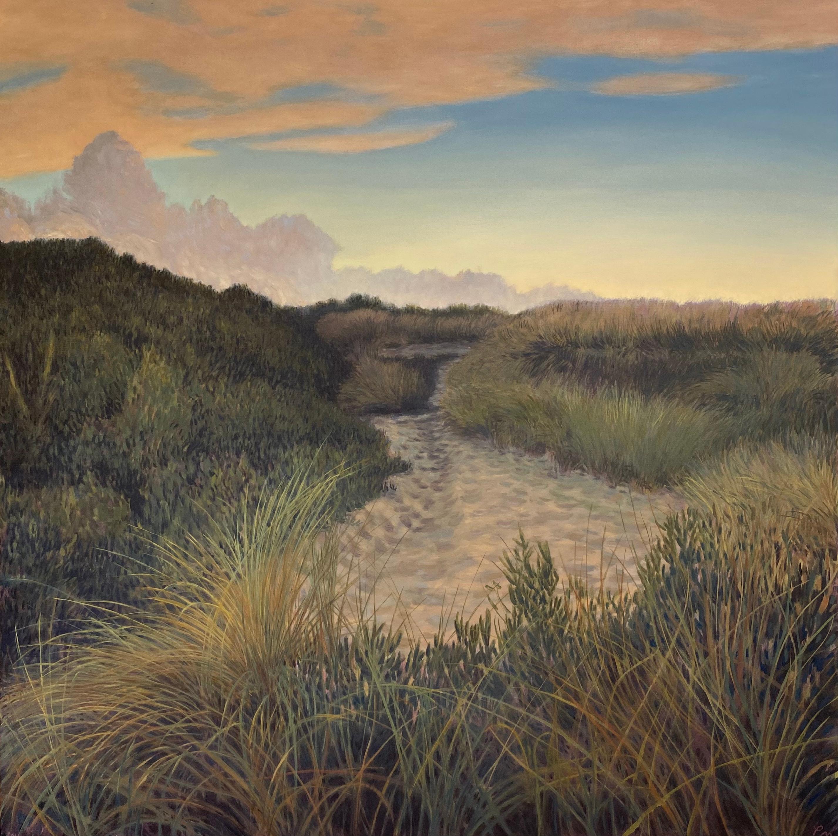 Paul McIntyre - Path through the Dunes For Sale at 1stDibs