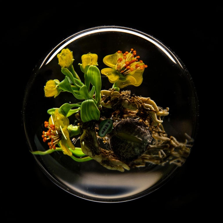 Paul Stankard - Paul Stankard Glass Paperweight Fine Art Tulips ...