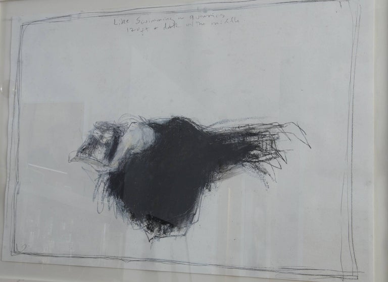 Paul Wadsworth - Comme Swimming In A Quarry (merger dans une carrière ...