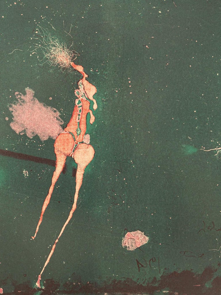 Paul Wunderlich Original Lithograph Handsigned and Numbered Abstract ...