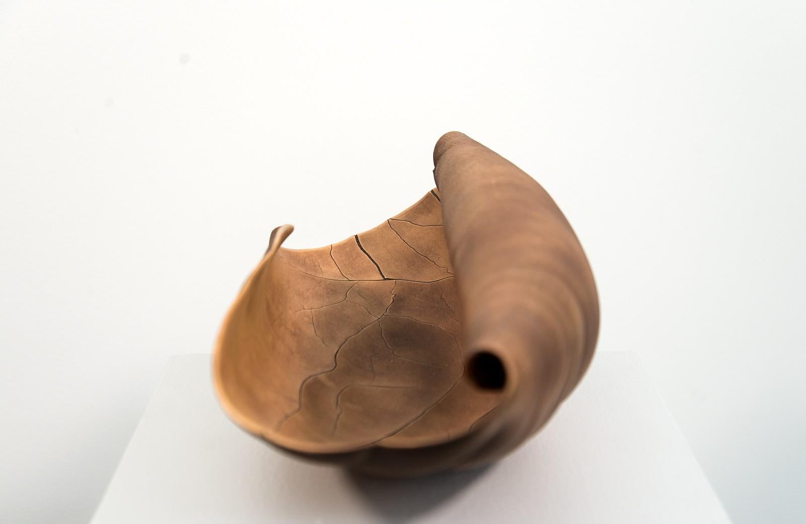 Paula Murray - Autumn - intricate, nature-inspired, hand-shaped ...