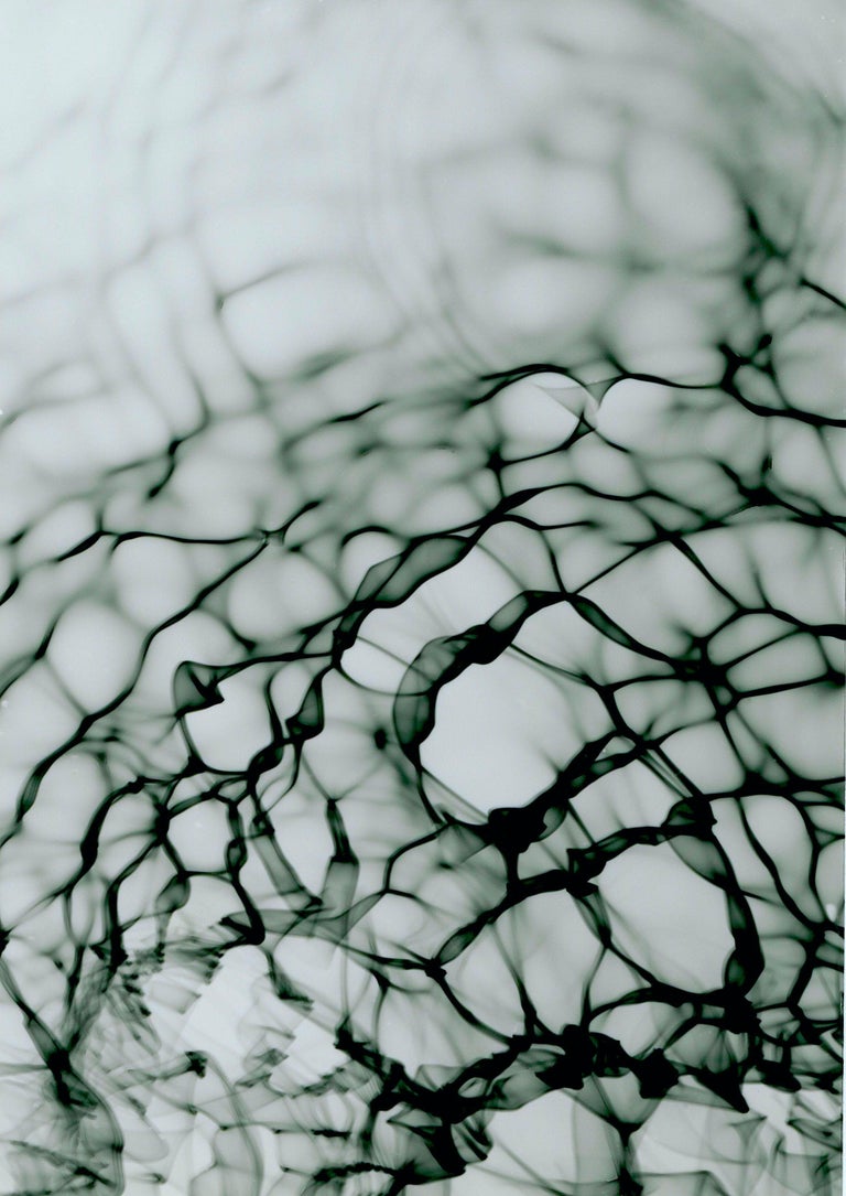 Paula Pink - Ripples - an abstract watergram, experimental black and ...