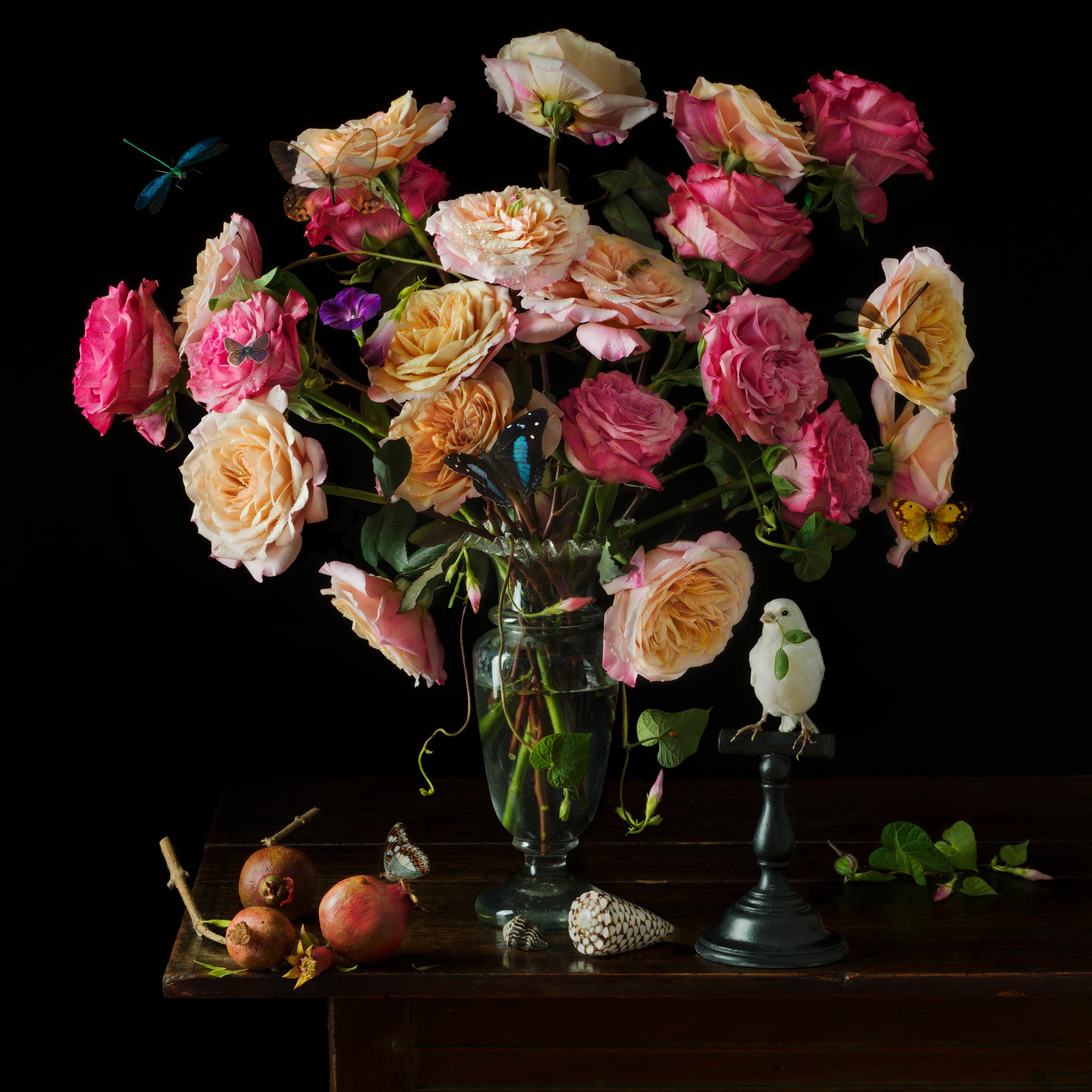 Paulette Tavormina - Roses and White Canary - Framed For Sale at 1stDibs