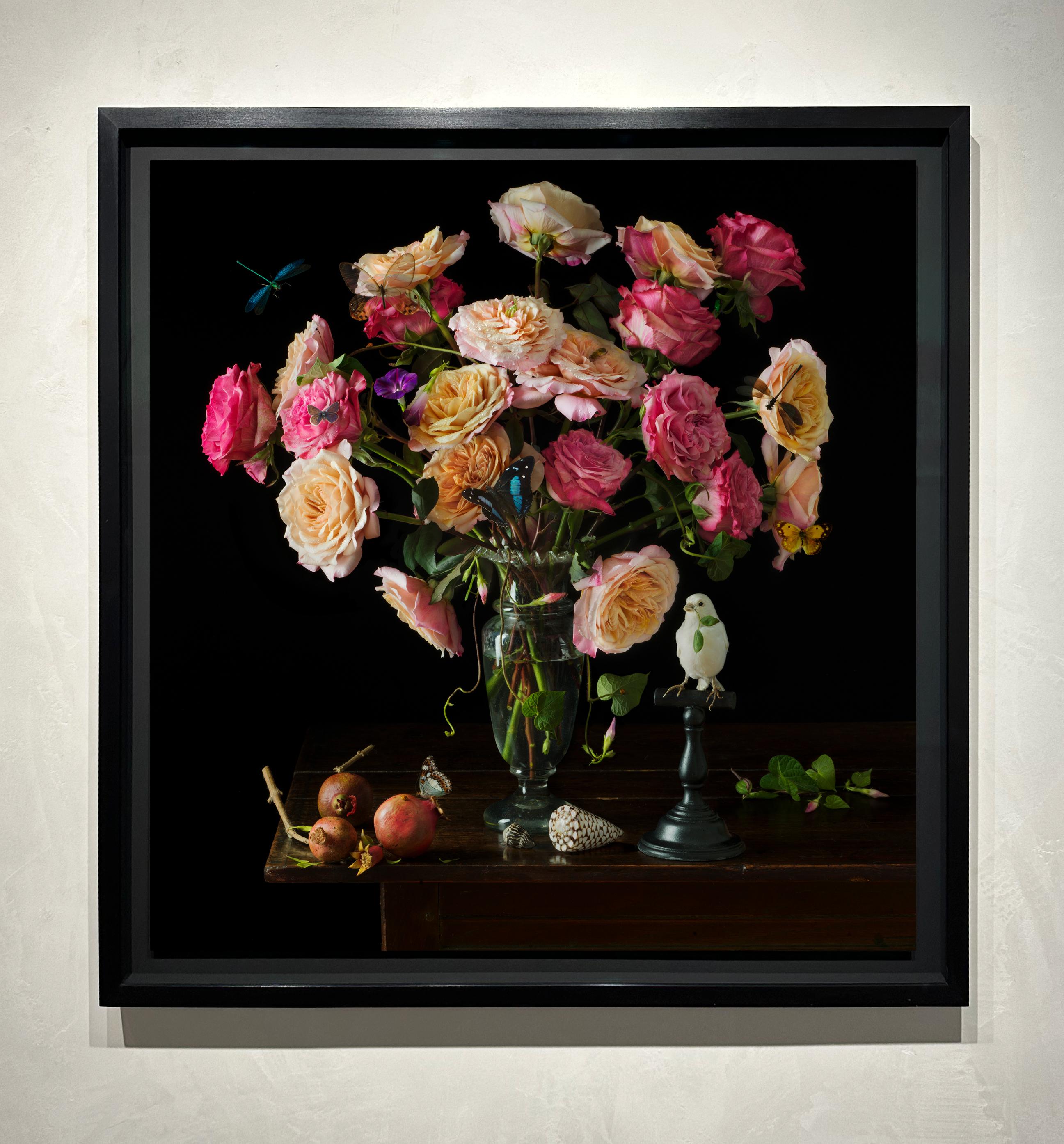 Paulette Tavormina - Roses and White Canary - Framed For Sale at 1stDibs