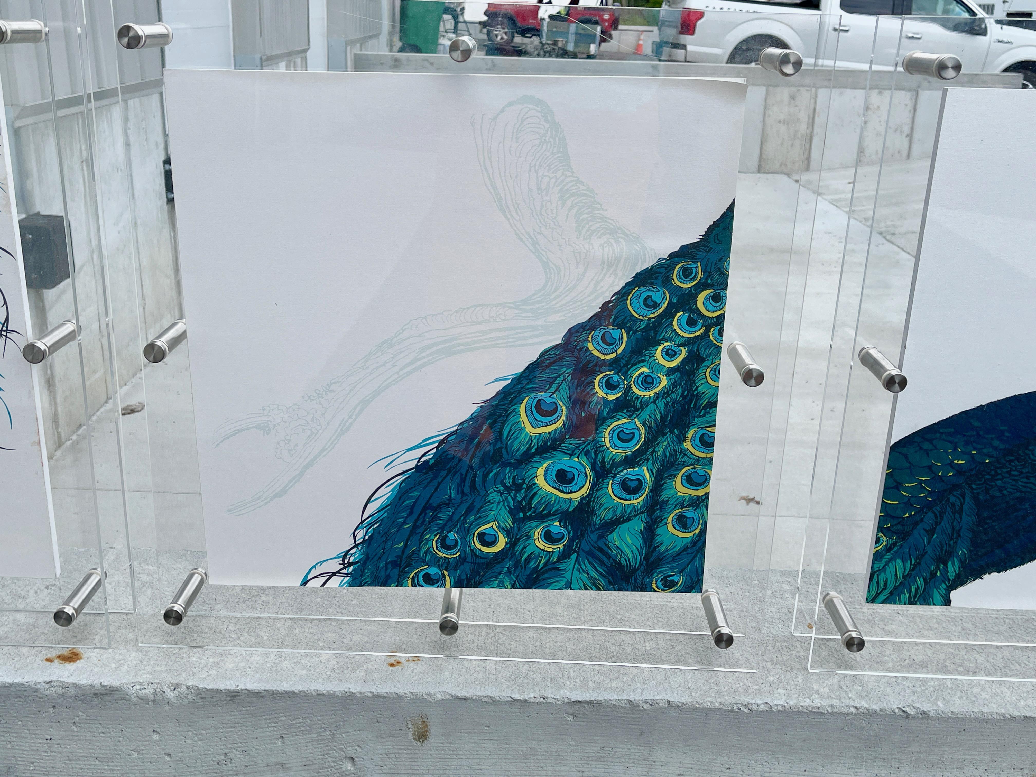 Peacock Segmented Mural in Floating Lucite Frames at 1stDibs