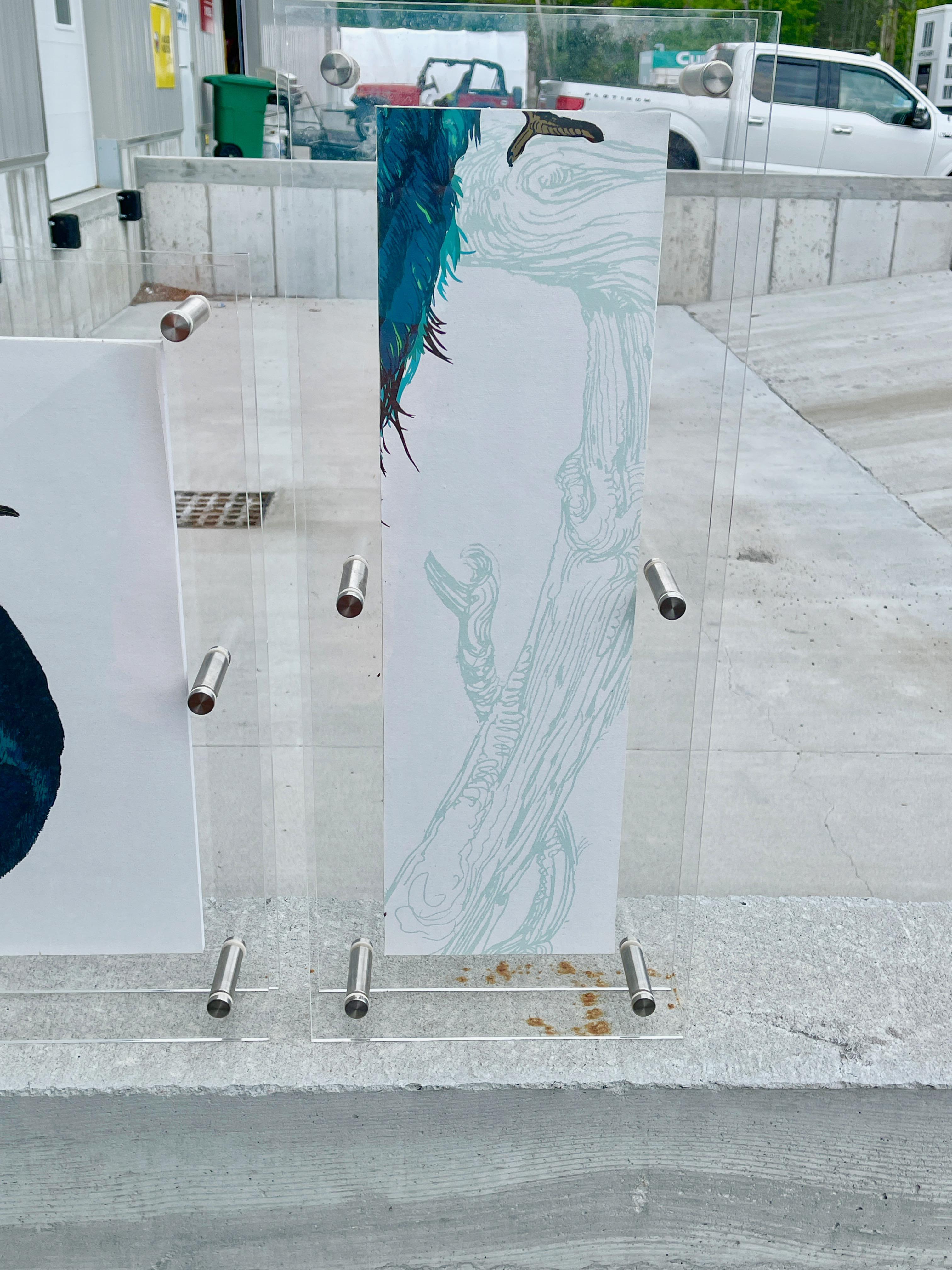 Peacock Segmented Mural in Floating Lucite Frames at 1stDibs