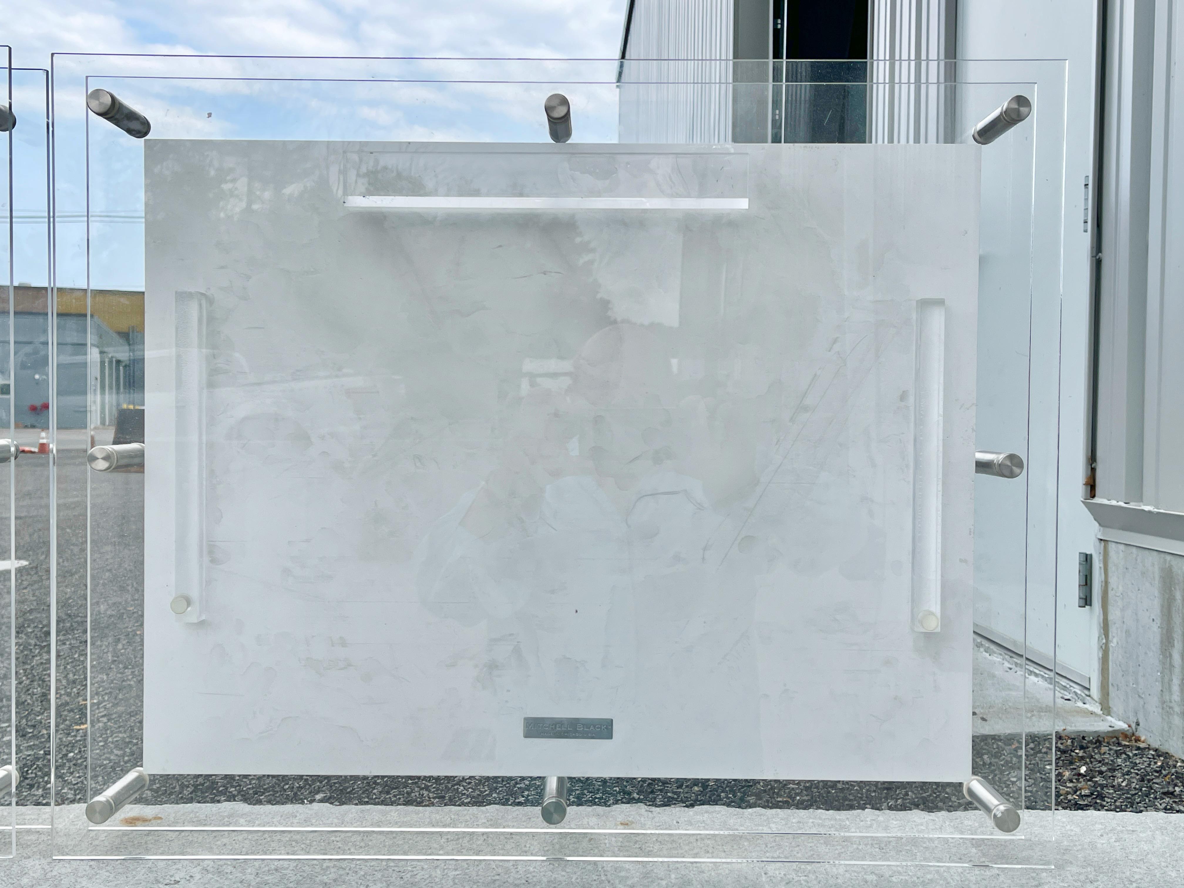 Peacock Segmented Mural in Floating Lucite Frames at 1stDibs