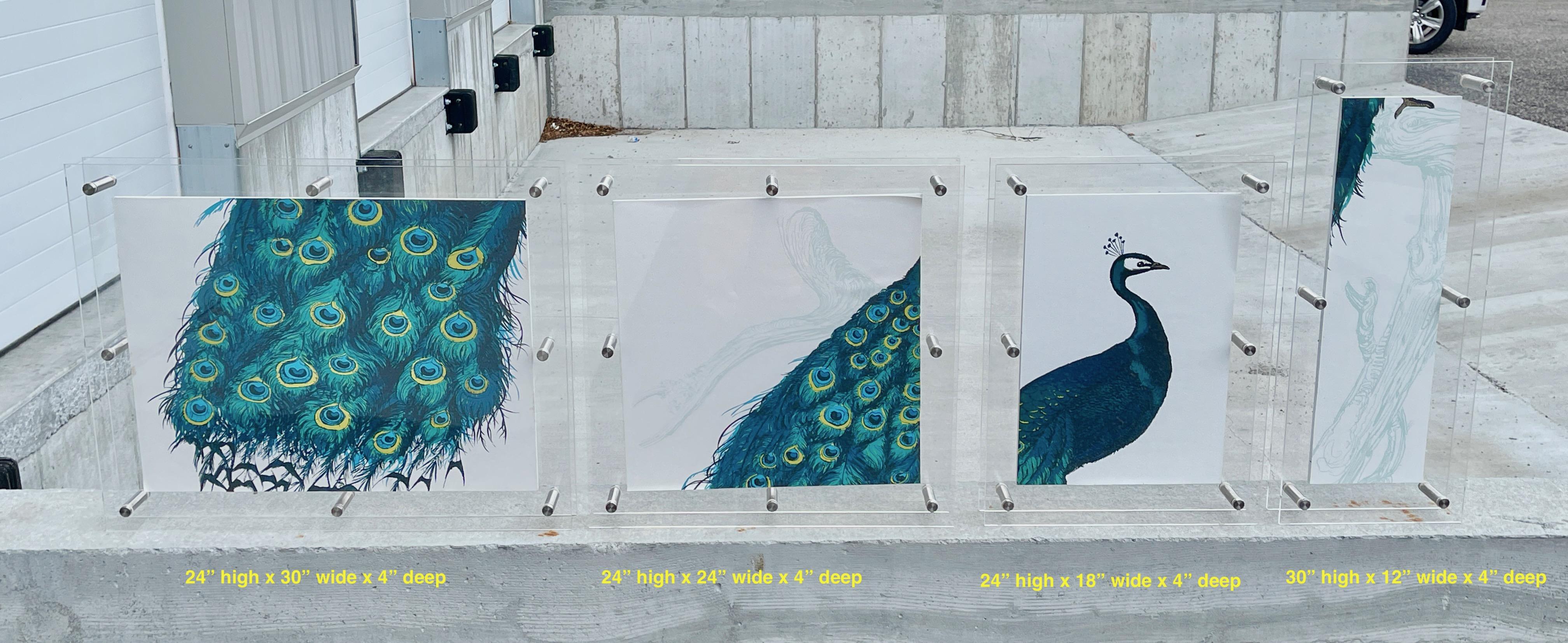 Peacock Segmented Mural in Floating Lucite Frames at 1stDibs