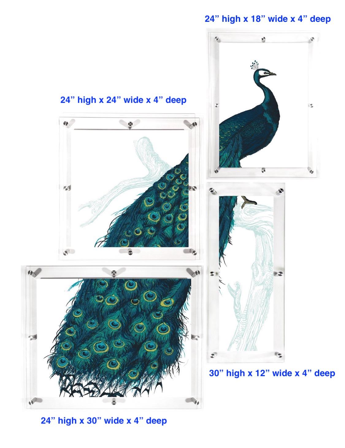 Peacock Segmented Mural in Floating Lucite Frames at 1stDibs
