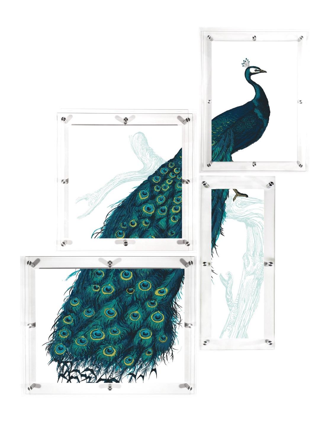 Peacock Segmented Mural in Floating Lucite Frames at 1stDibs