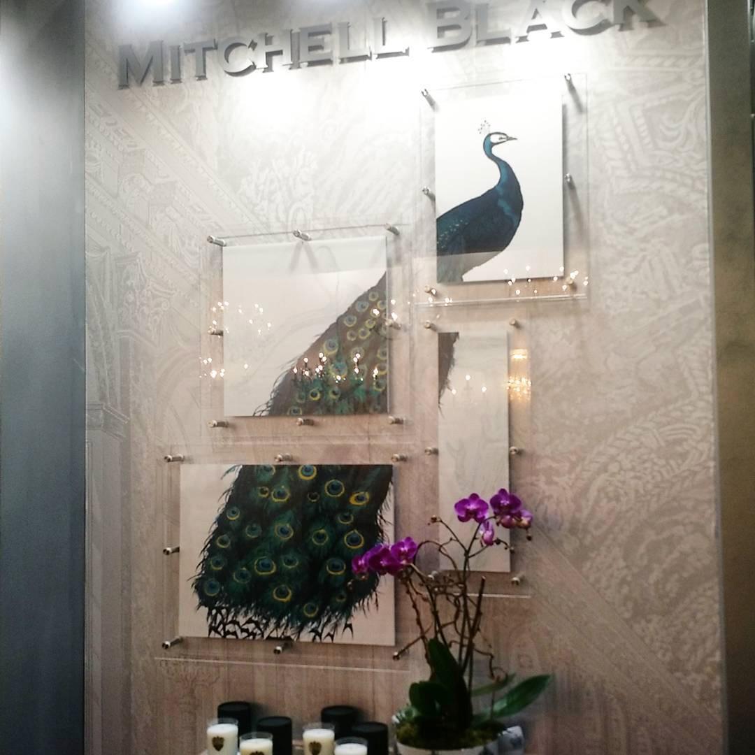 Peacock Segmented Mural in Floating Lucite Frames at 1stDibs