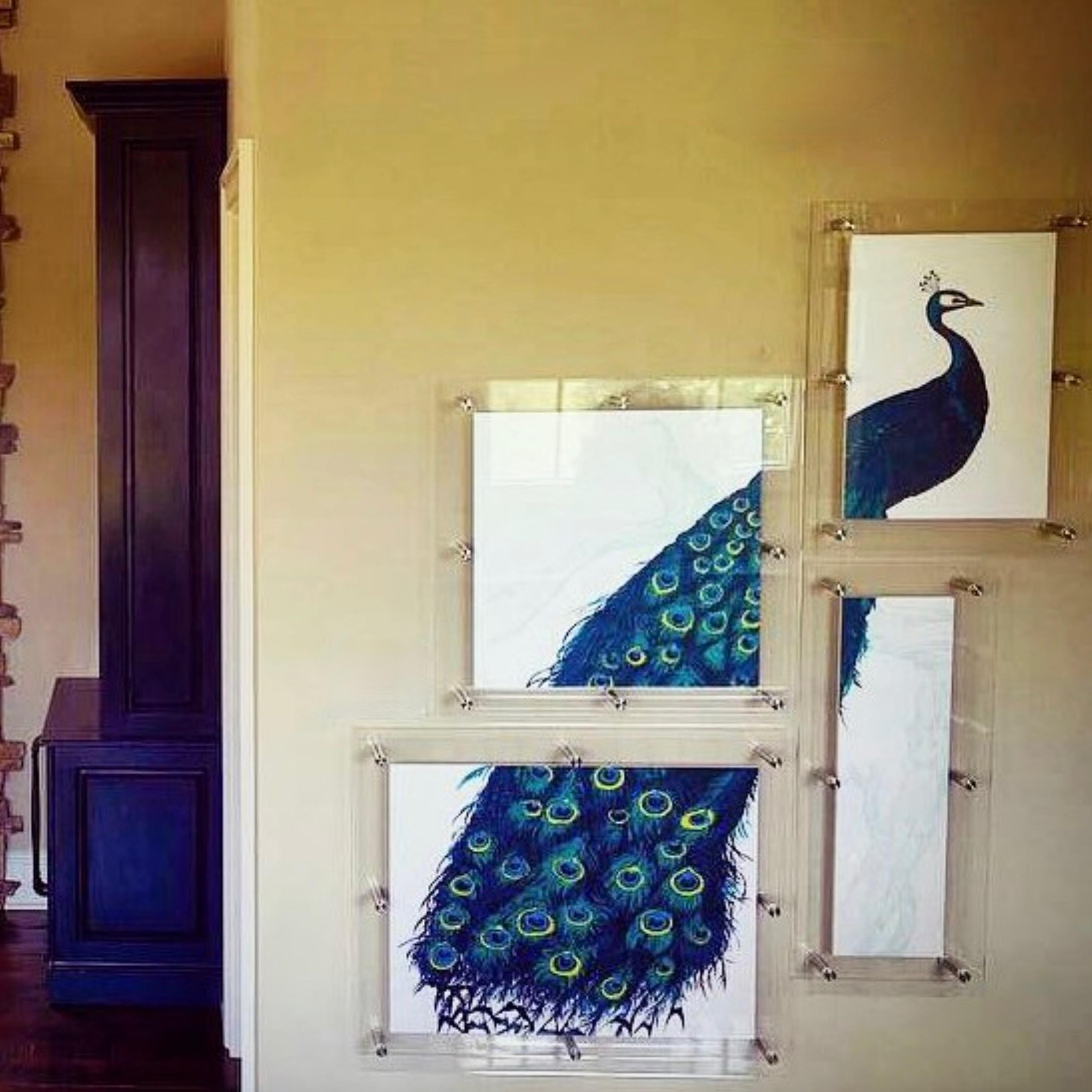 Peacock Segmented Mural in Floating Lucite Frames at 1stDibs