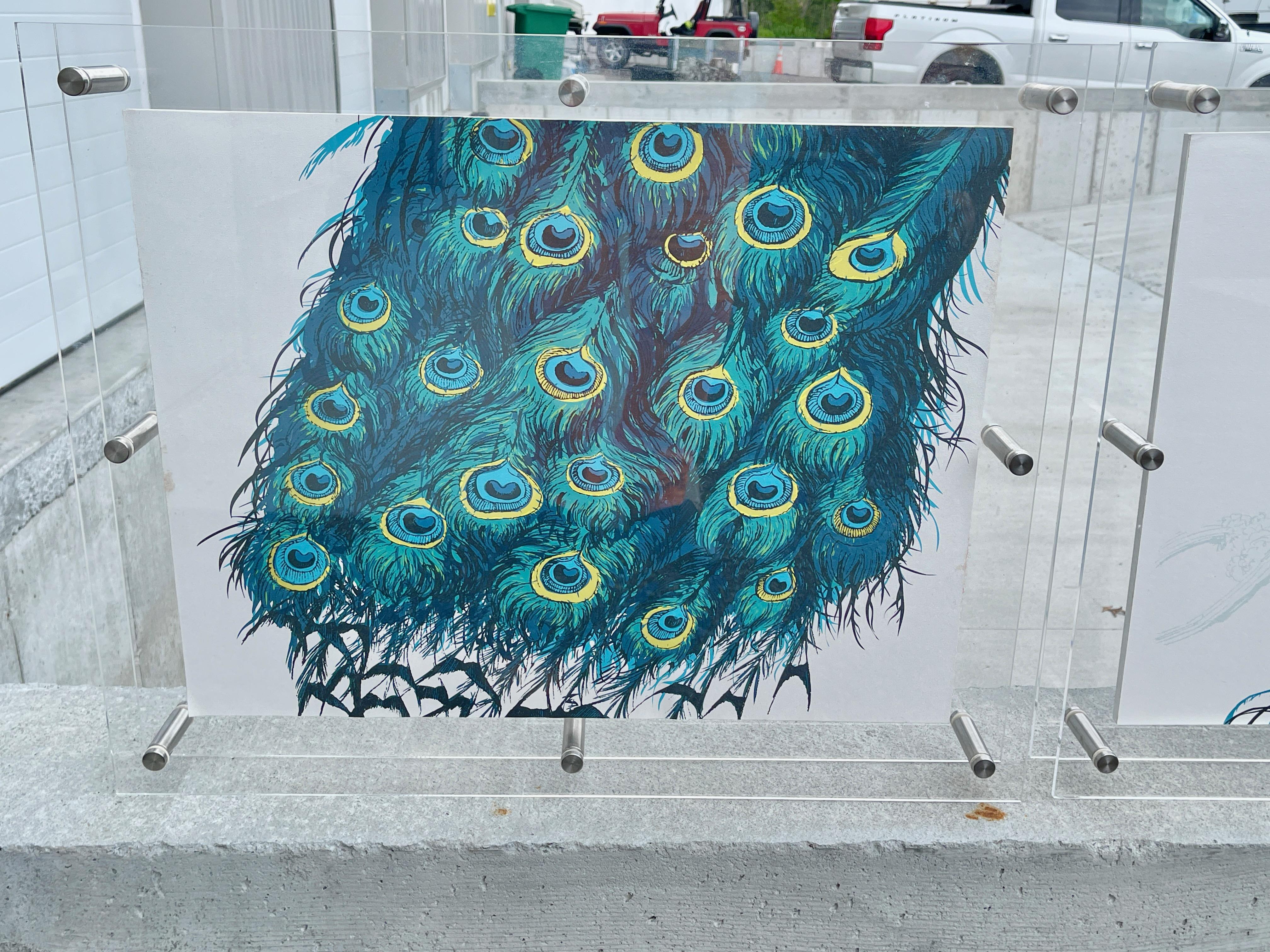 Peacock Segmented Mural in Floating Lucite Frames at 1stDibs