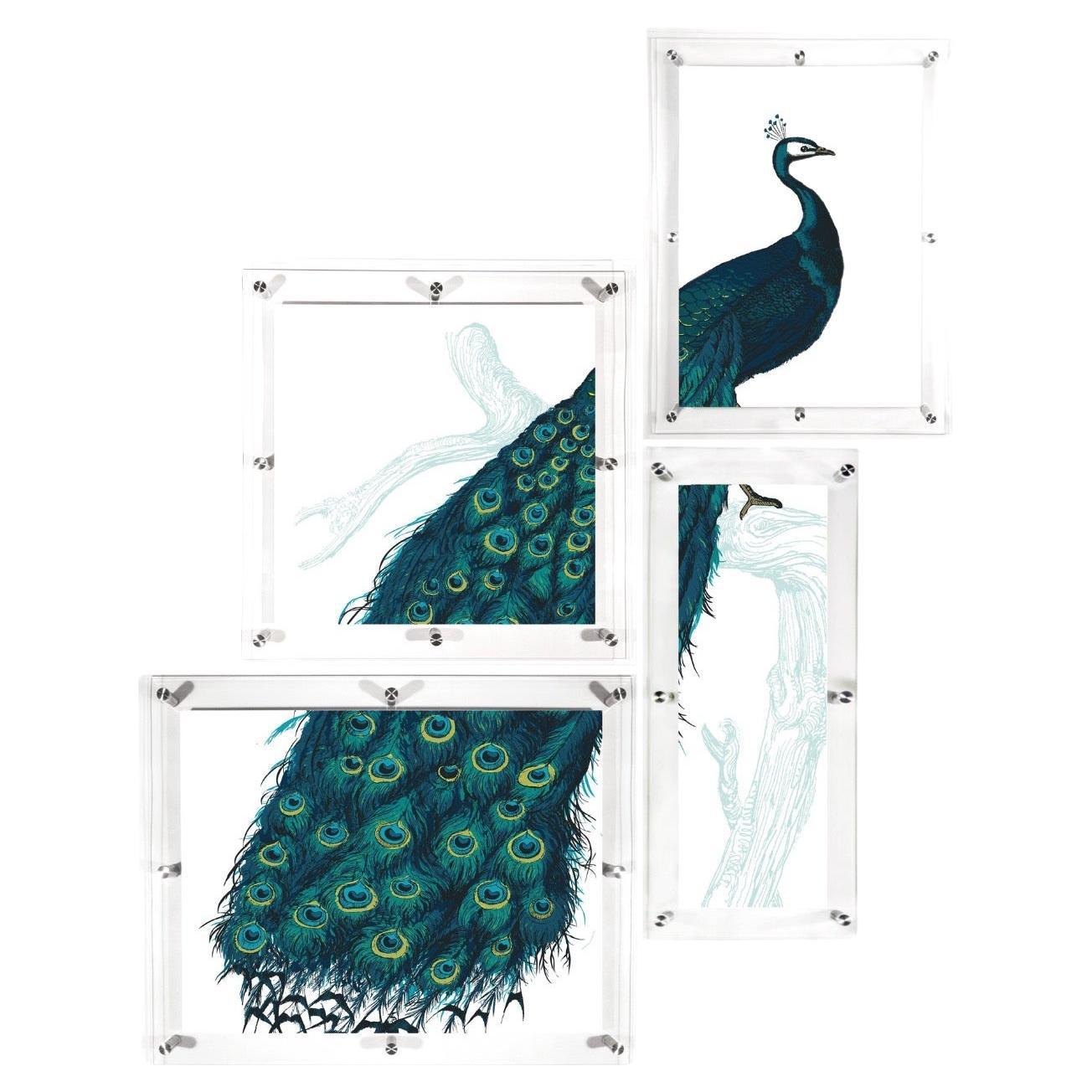 Peacock Segmented Mural in Floating Lucite Frames at 1stDibs