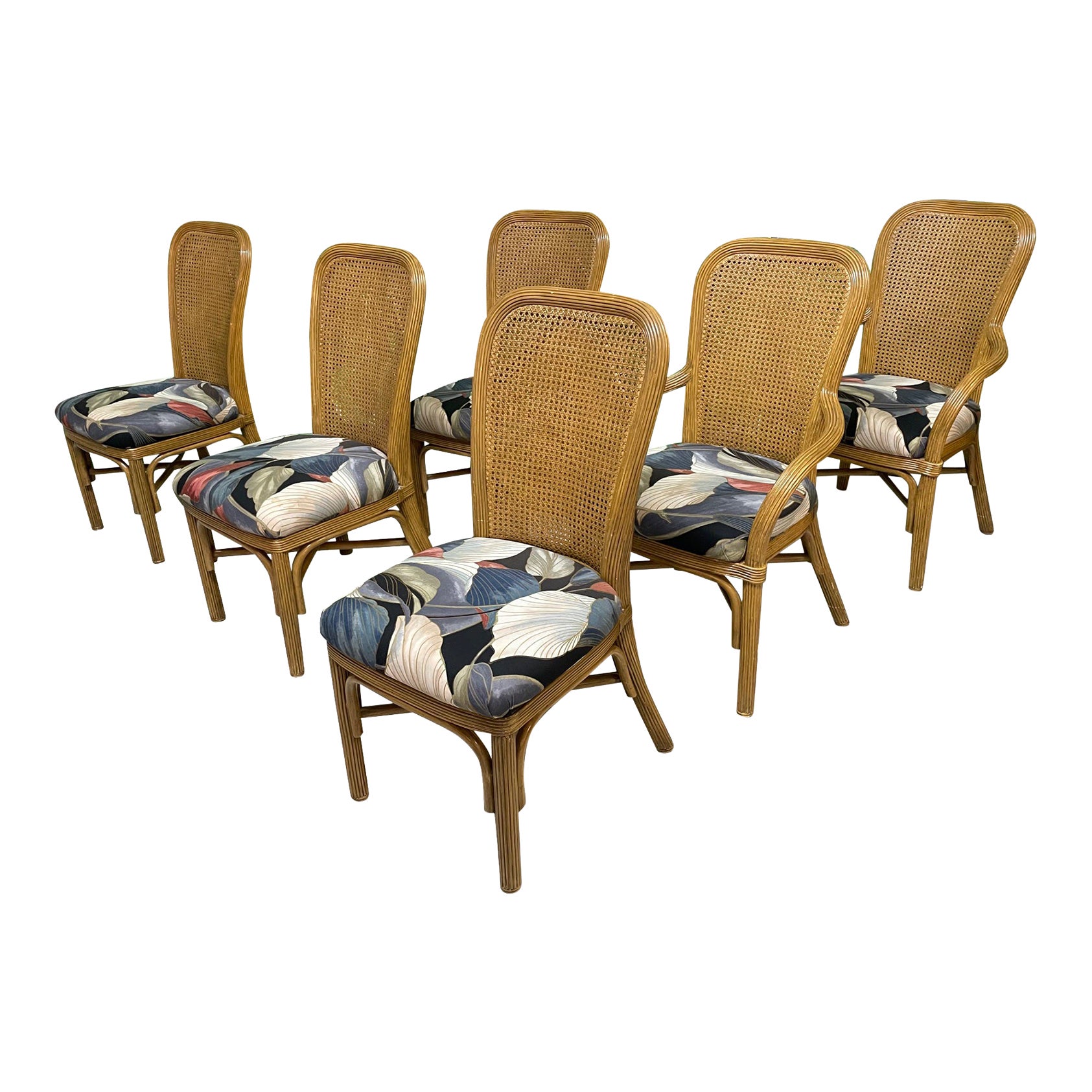 Pencil Reed Rattan and Cane Dining Chairs For Sale at 1stDibs