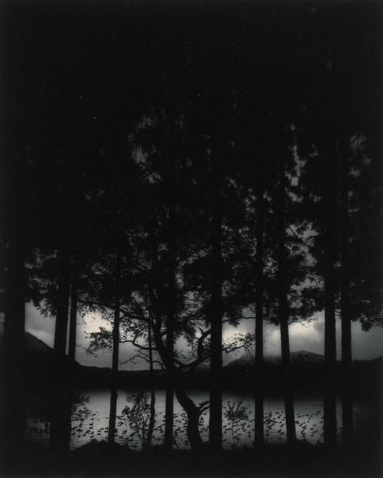 Pentti Sammallahti - Lake Numazawa, Fukushima, Japan, 2005 For Sale at ...