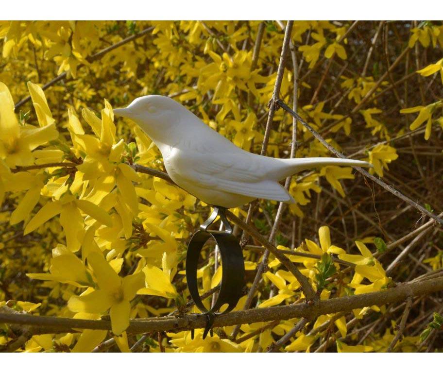 Perching Bird Emil Figure in White Biscuit Porcelain by Nymphenburg For ...