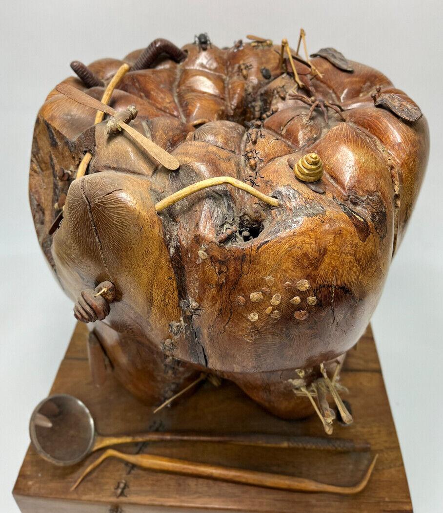 Perry Policicchio Carved Koa Wood Decaying Tooth Sculpture For Sale at ...
