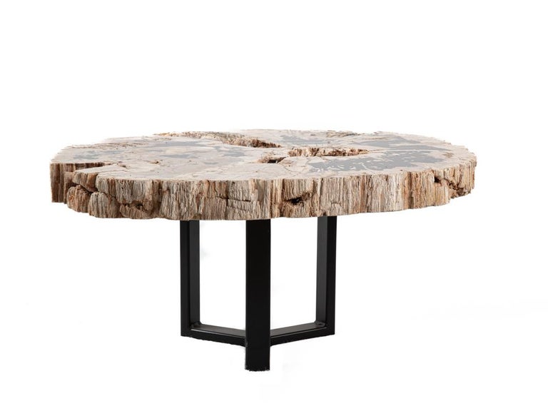 Pertrified Wood Slab with Metal Base For Sale at 1stDibs