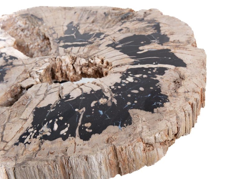 Pertrified Wood Slab with Metal Base For Sale at 1stDibs