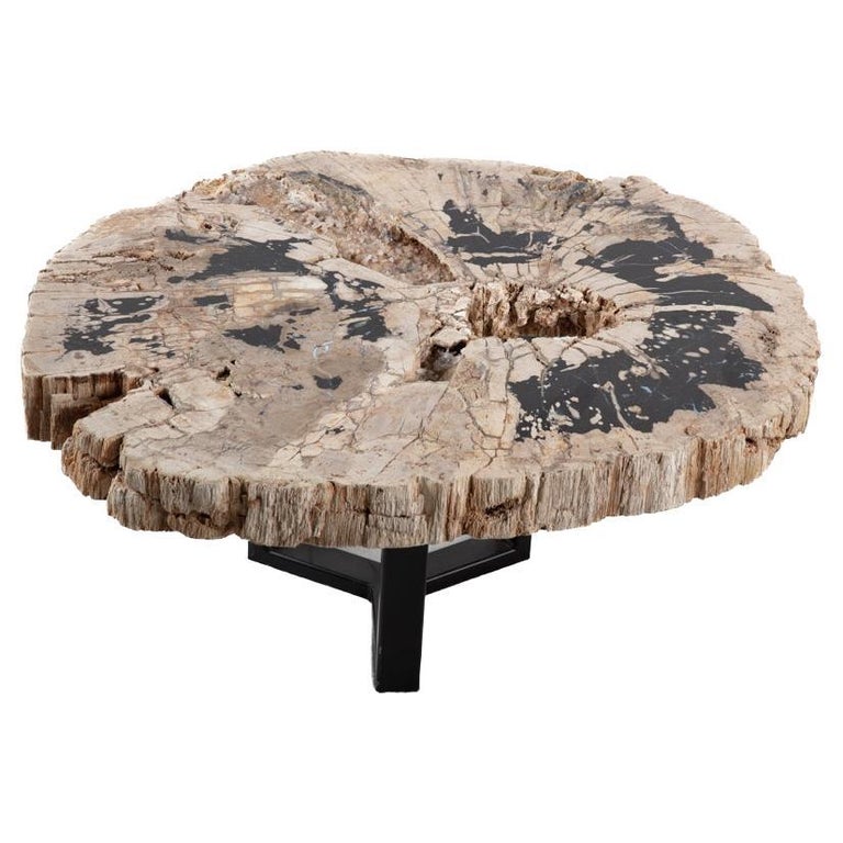 Pertrified Wood Slab with Metal Base For Sale at 1stDibs