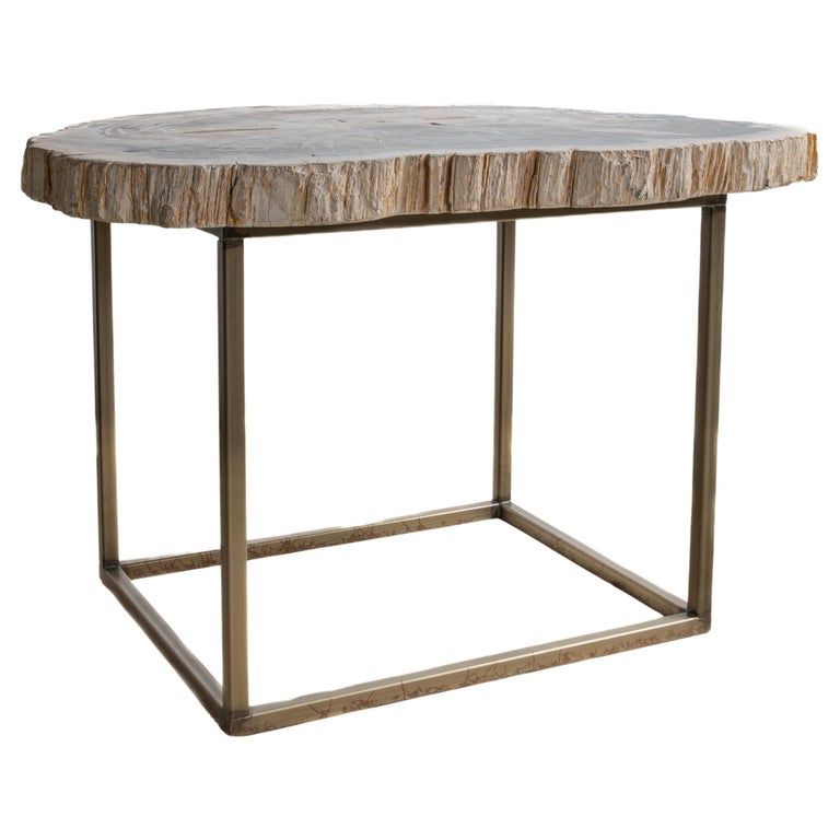 Pertrified Wood Slab with Metal Base For Sale at 1stDibs