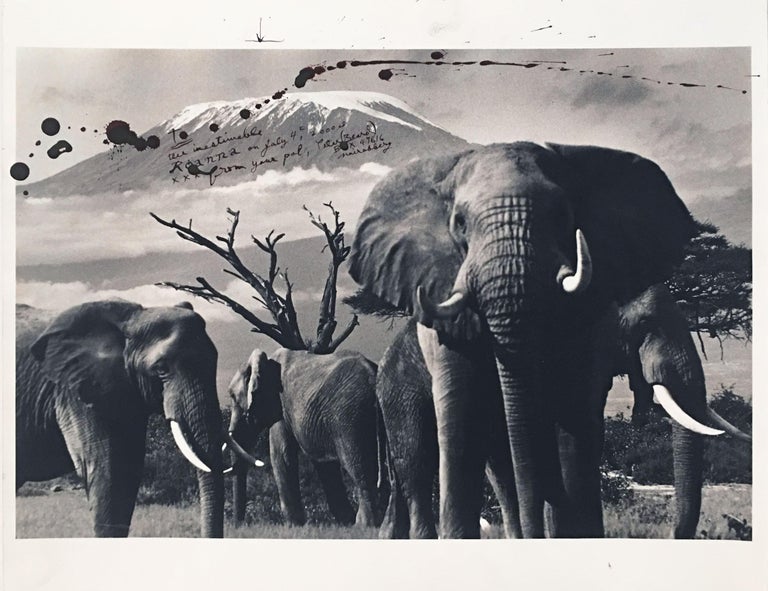 Peter Beard - Elephants and Kilimanjaro For Sale at 1stDibs