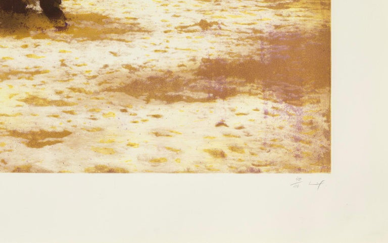 Peter Doig - Pinto For Sale at 1stDibs