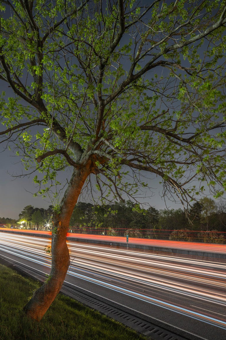 Peter Essick - "Box Elder #1, Atlanta, GA" anthropocene landscape ...
