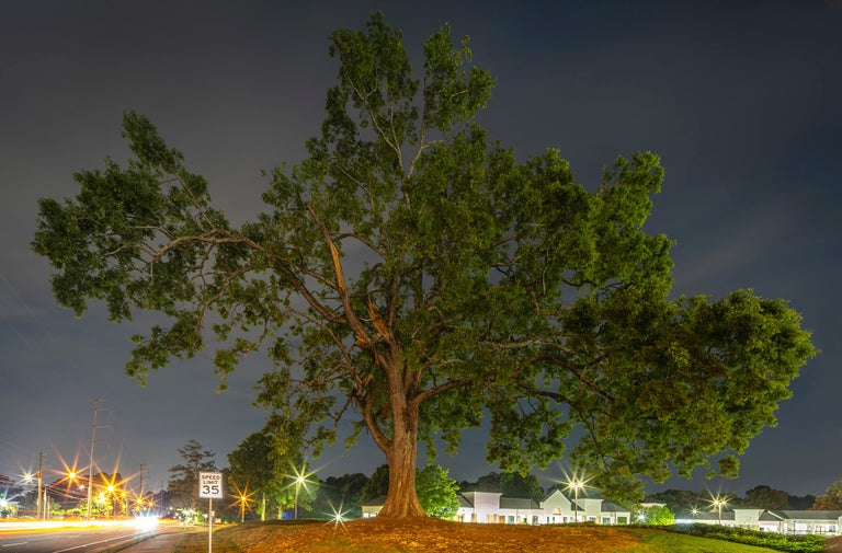 Peter Essick - "Post Oak #1, Atlanta, GA" Anthropocene landscape ...