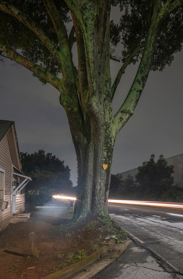 Peter Essick - "Willow Oak #1, Scottdale, GA" Anthropocene landscape ...