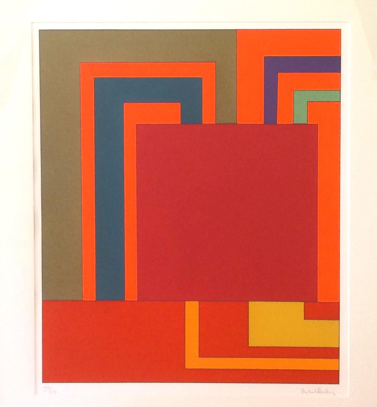 Peter Halley Prints and Multiples - 20 For Sale at 1stDibs