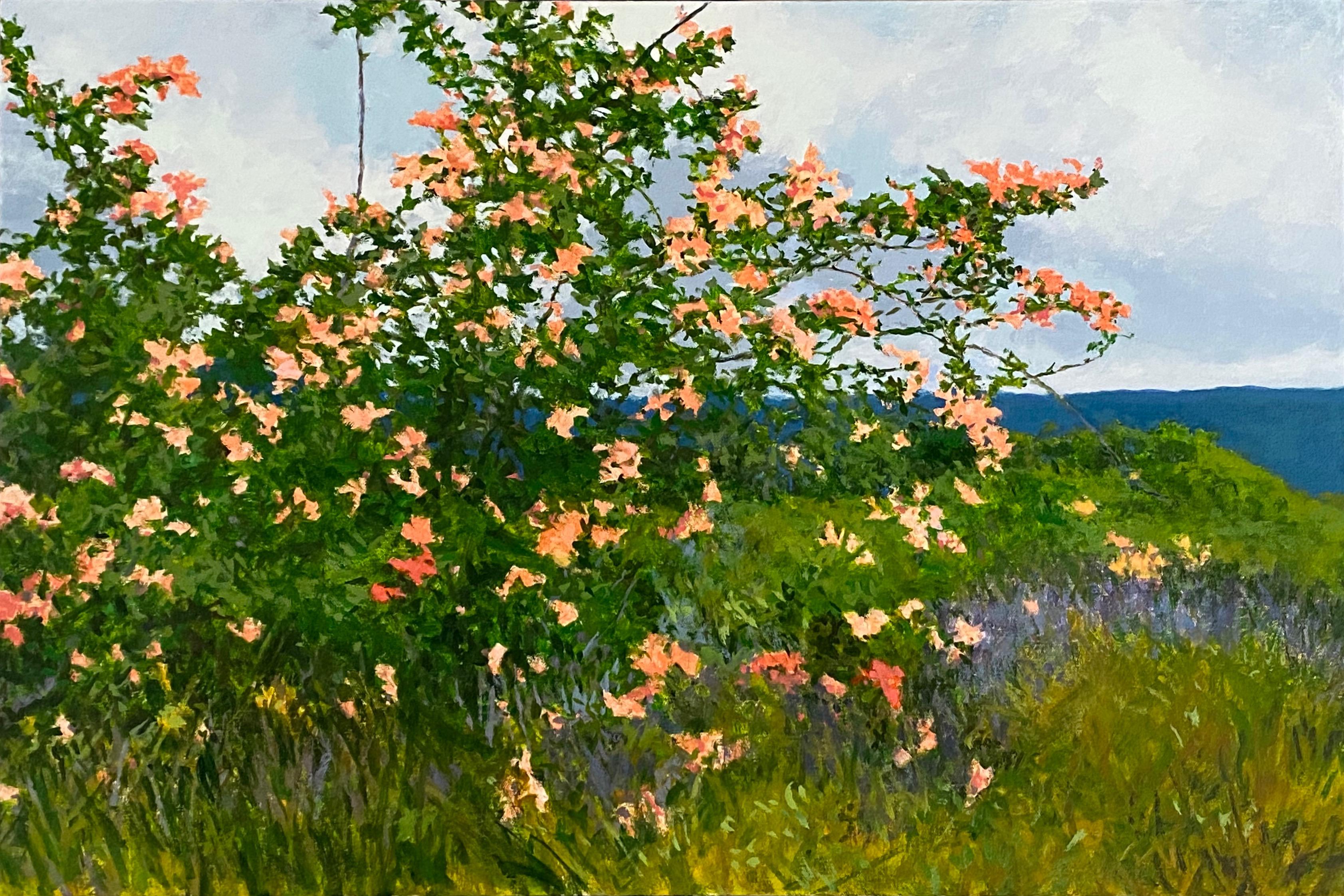 Peter Loftus - Bougainvillea at Honaunau No. 2 For Sale at 1stDibs